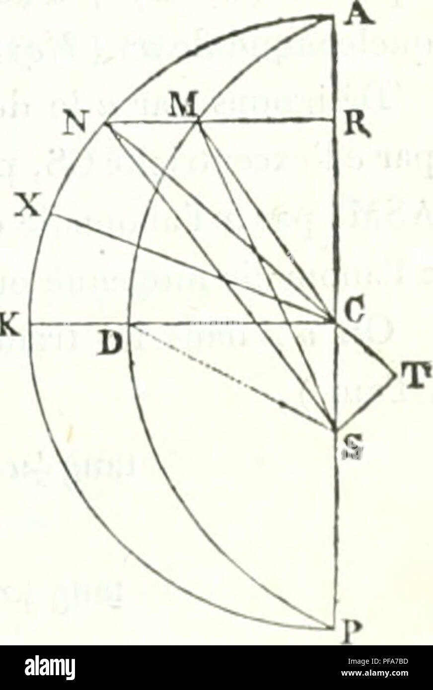 Annuita hi-res stock photography and images - Alamy