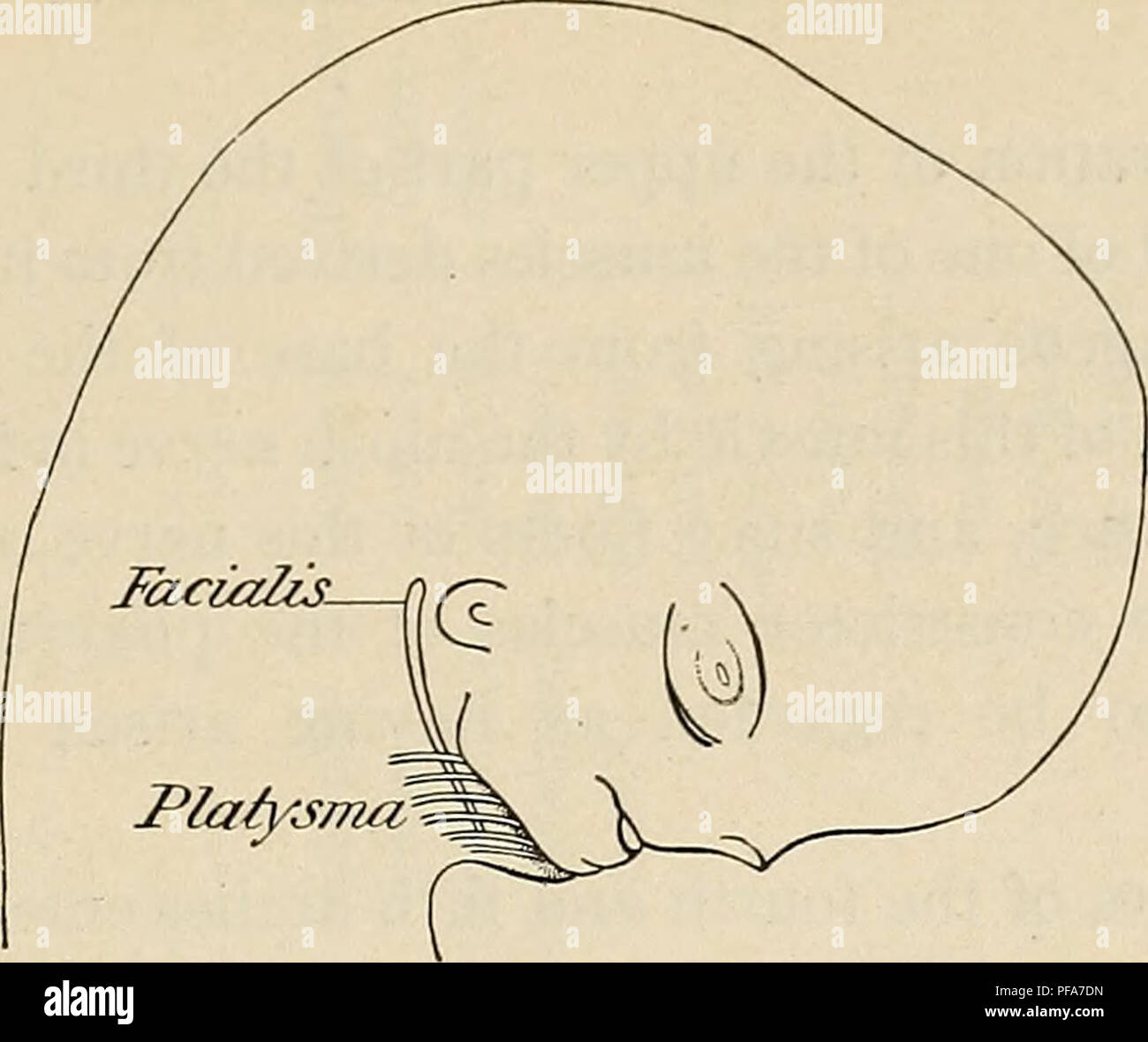 James playfair hi-res stock photography and images - Alamy