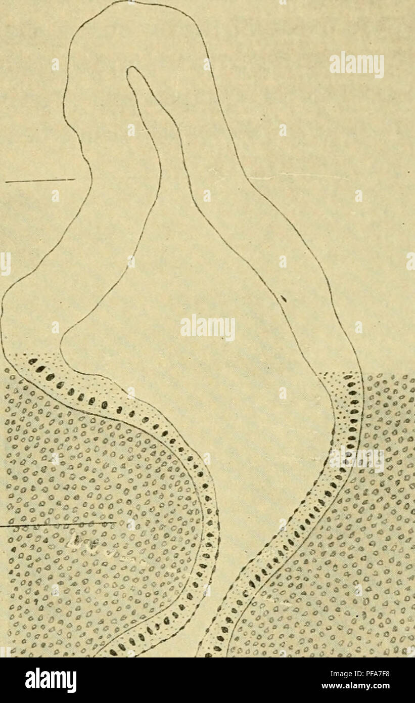 Sense organ e hi-res stock photography and images - Alamy