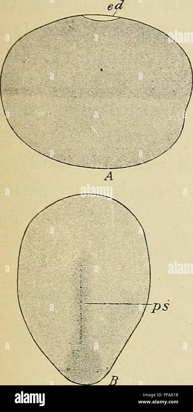 This manual on human embryology outlines the formation of germ layers ...