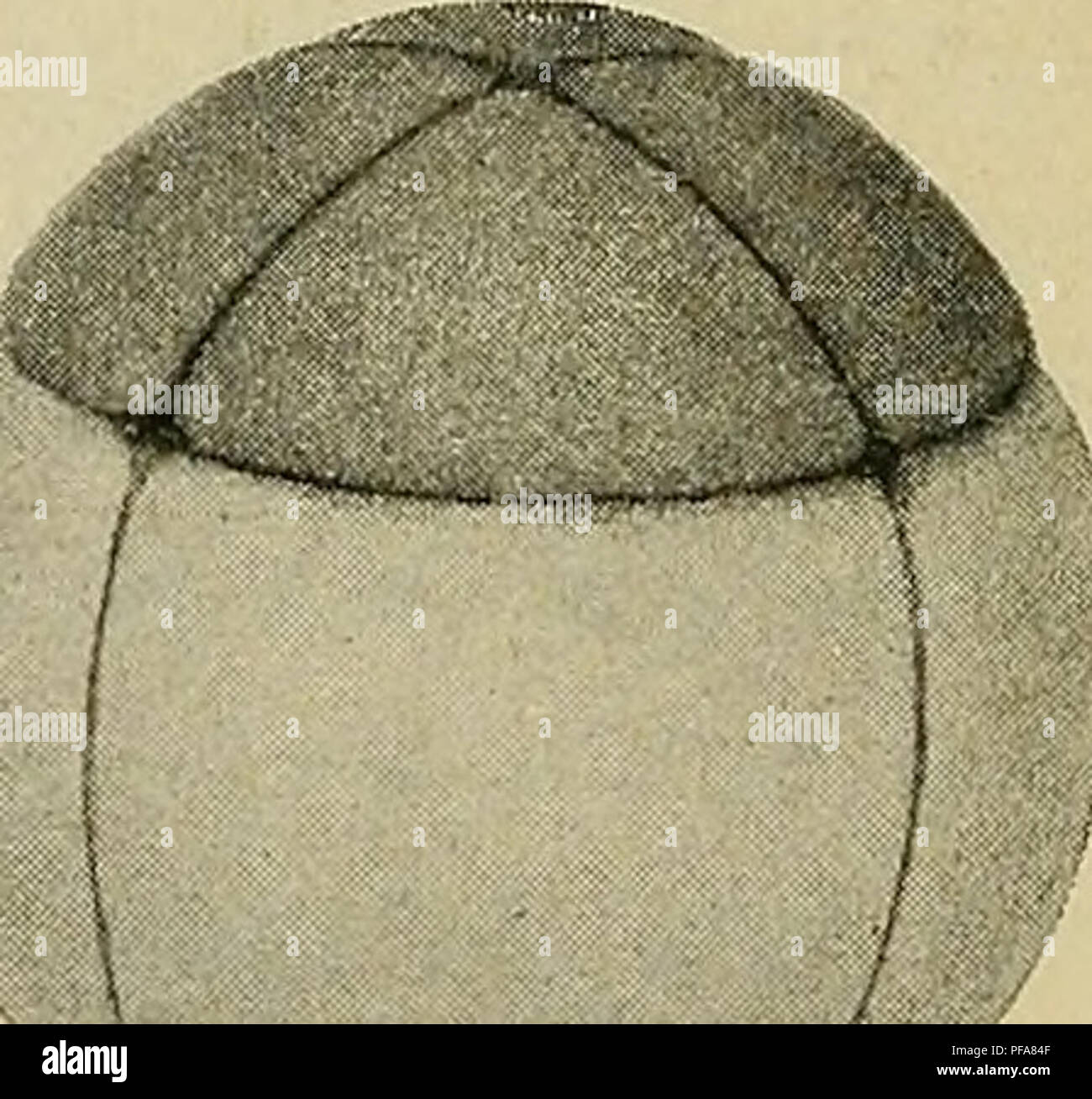 This manual provides an in-depth look at human embryology, focusing on ...