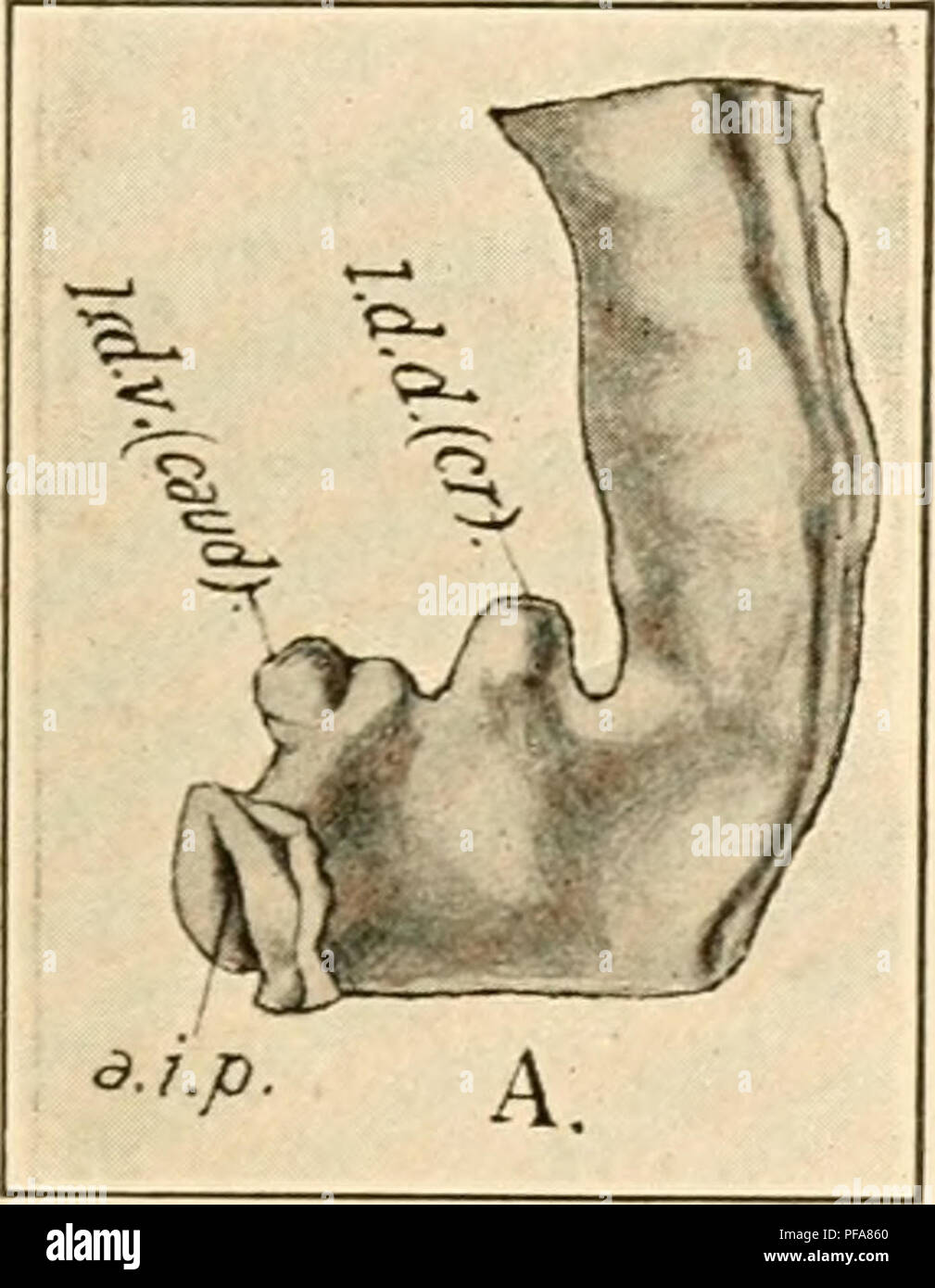 Directl hi-res stock photography and images - Alamy