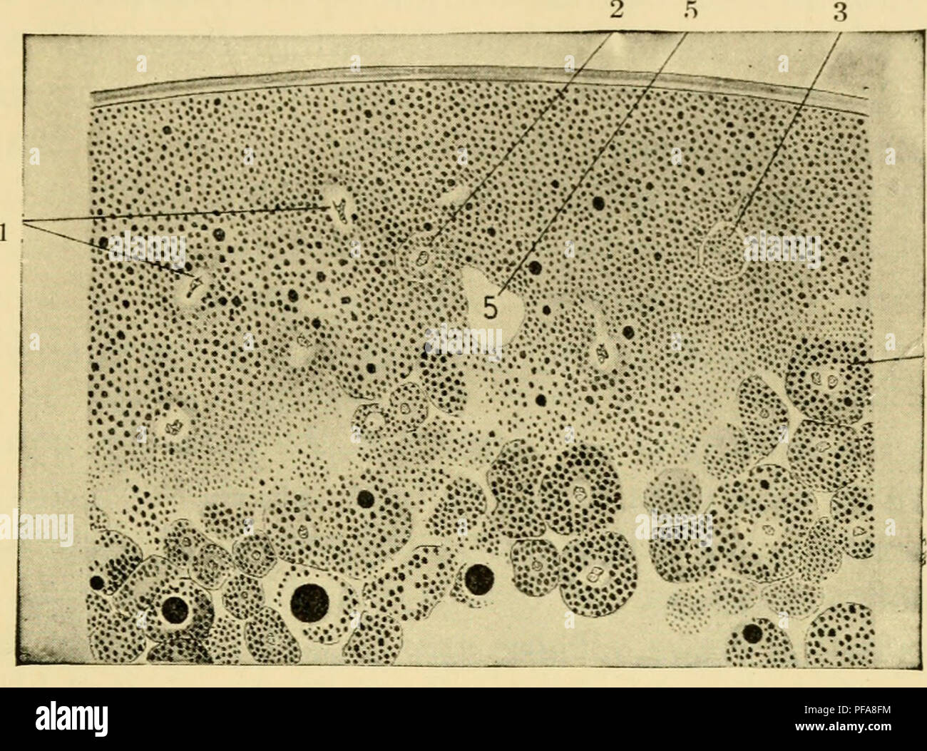 W 8 51 50 hi-res stock photography and images - Alamy