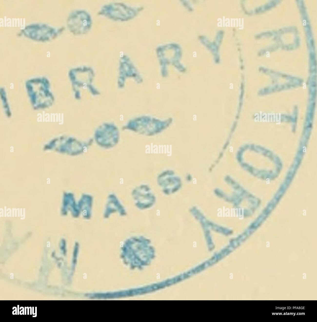 Blastomere High Resolution Stock Photography and Images - Alamy