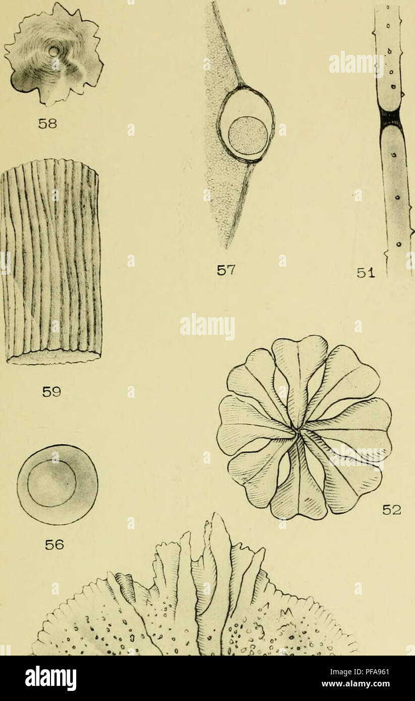 The French Second Antarctic Expedition (1908-1910) led by Charcot ...