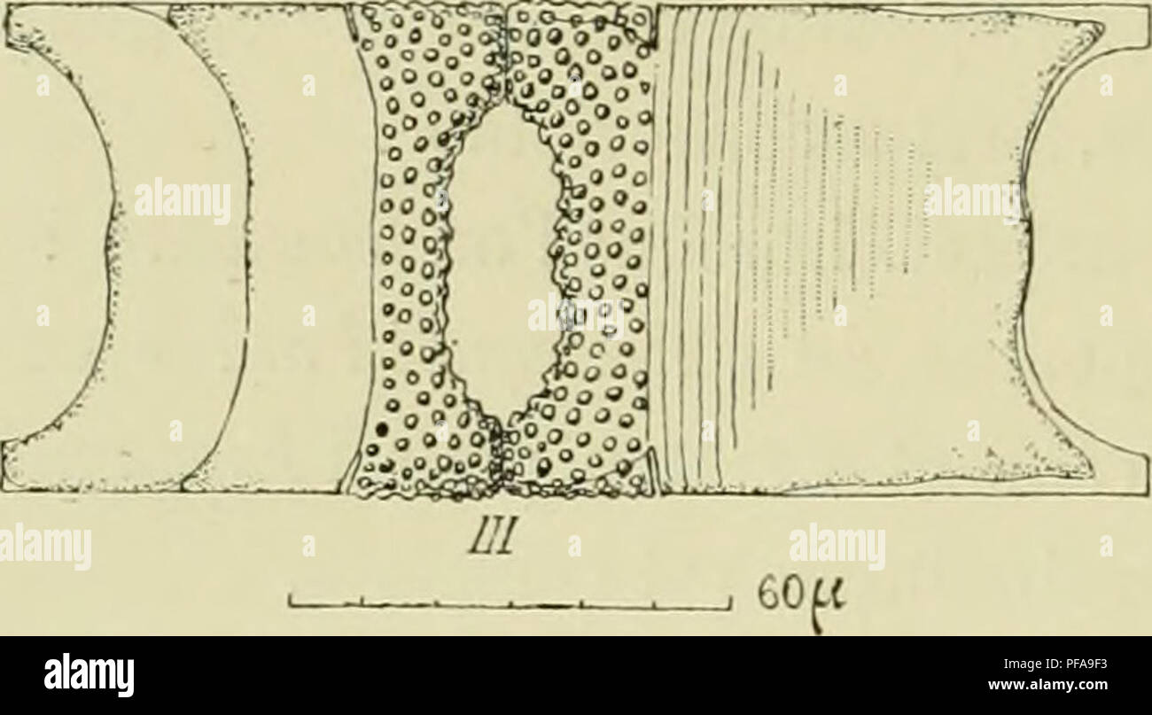 This image from the French Antarctic Expedition (1908-1910) depicts ...