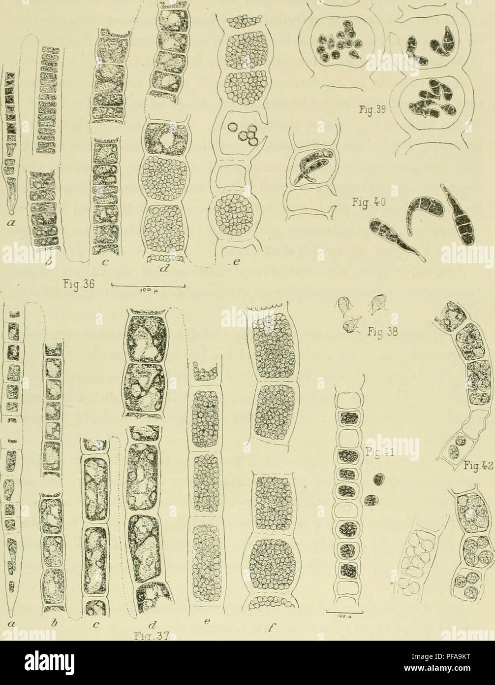 This second French Antarctic expedition (1908-1910) focused on the ...