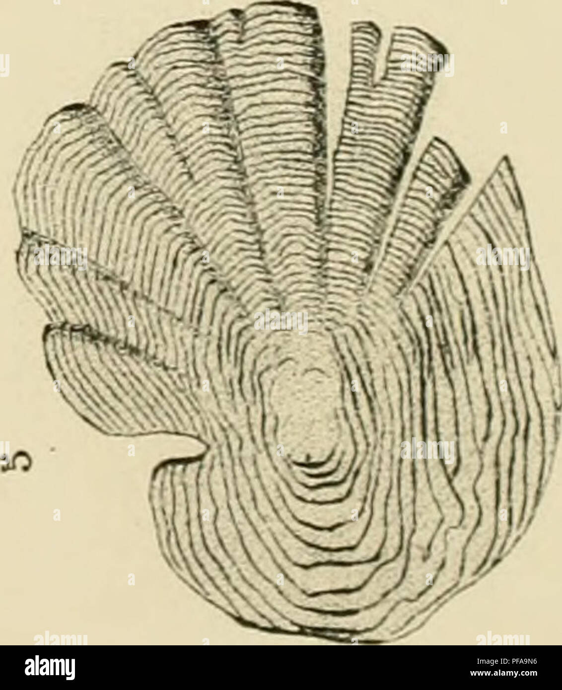 This image from the French Antarctic Expedition (1908-1910), led by ...