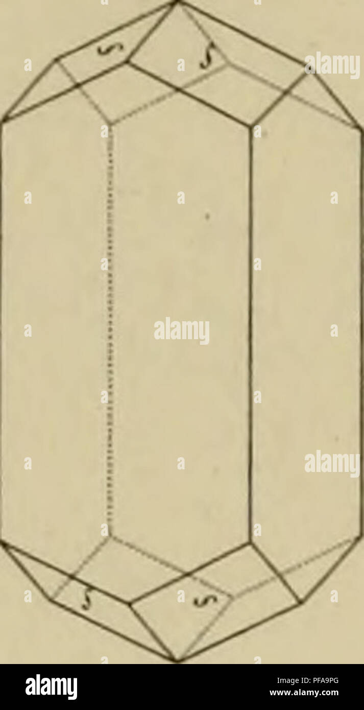 This natural history dictionary provides systematic descriptions of ...