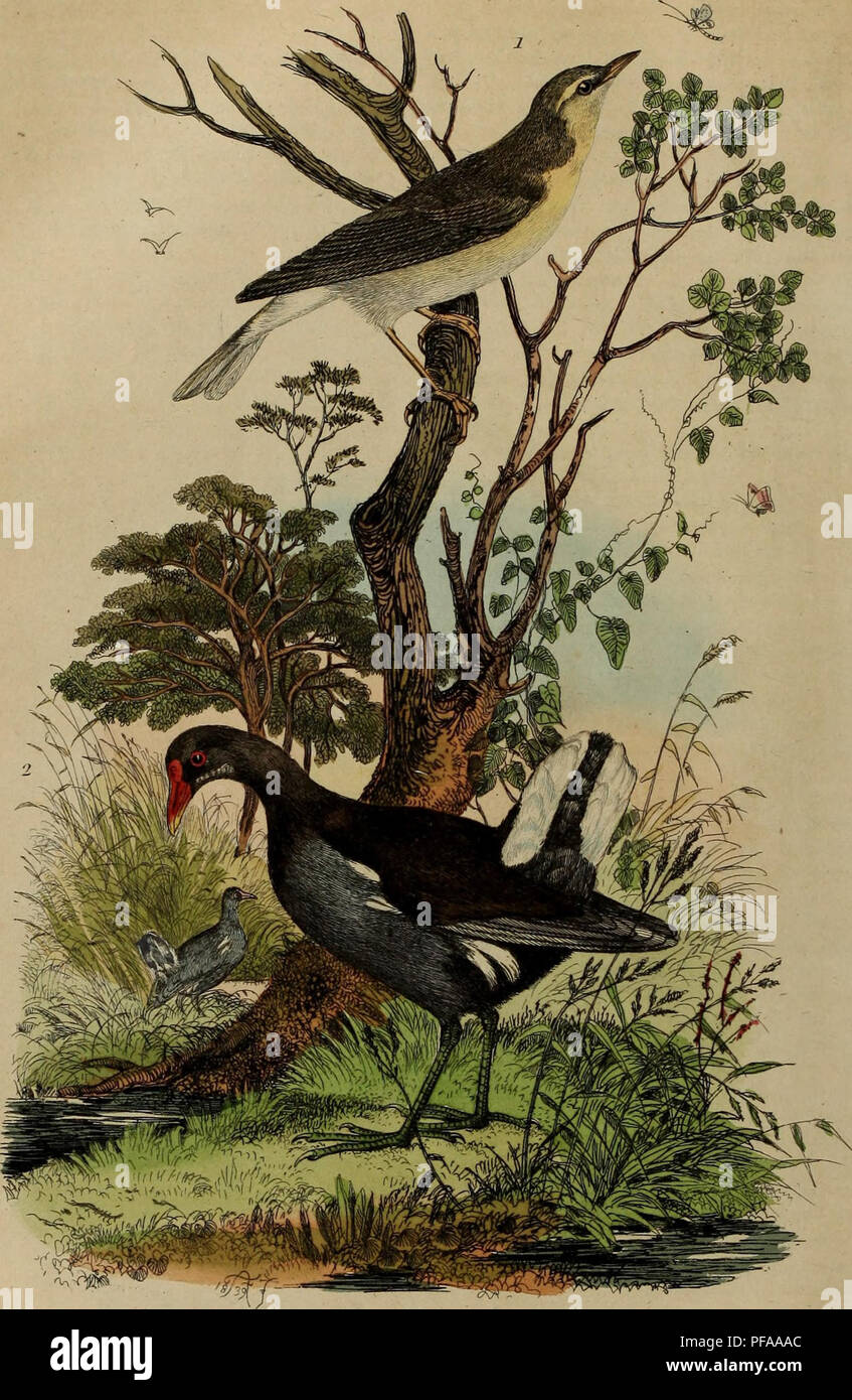 This dictionary presents a detailed overview of natural history and ...