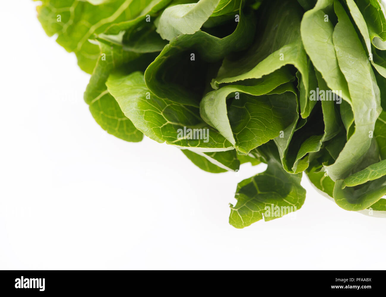 Fresh letture isolated on a white background Stock Photo - Alamy