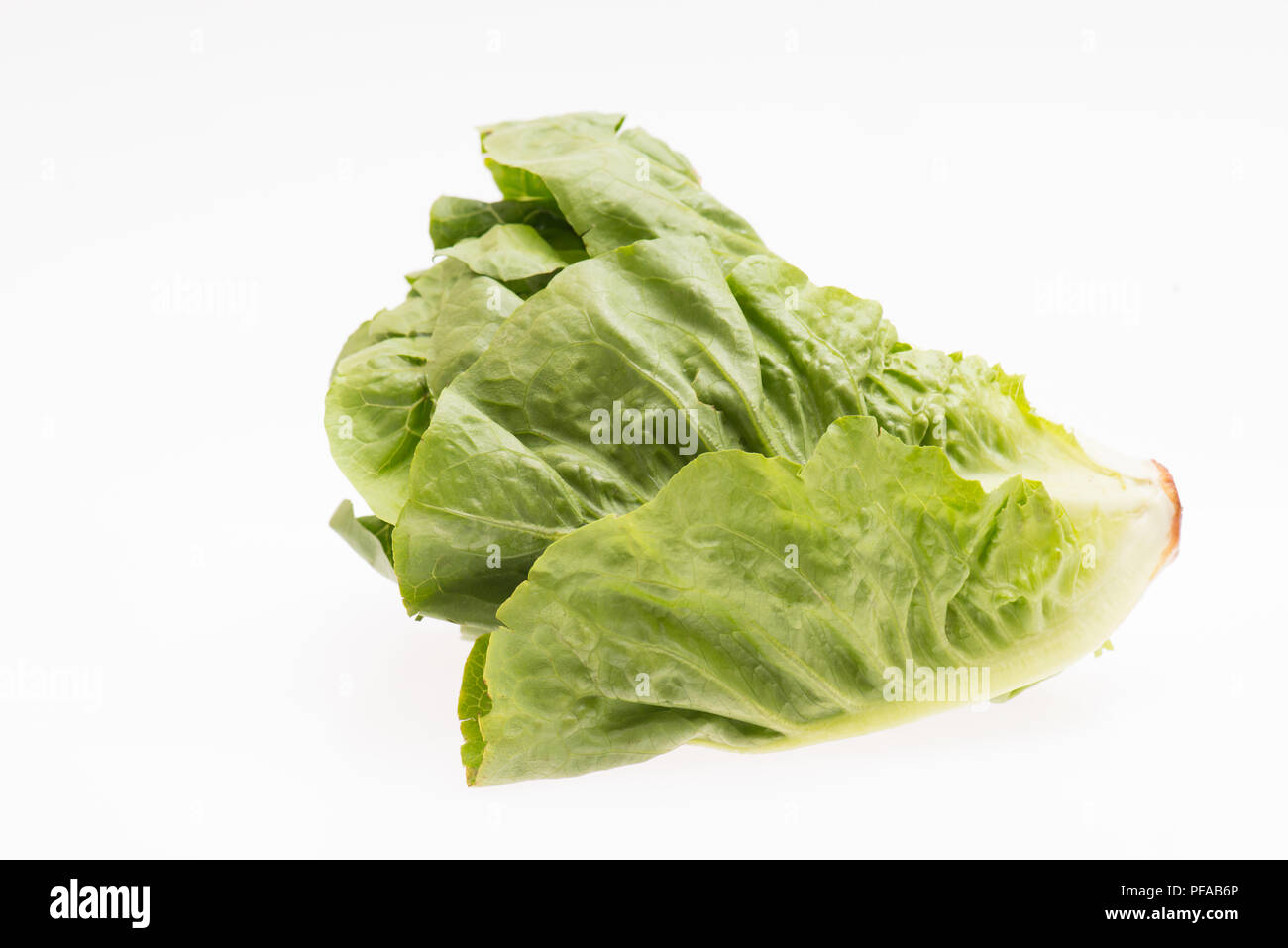 Leaf letture hi-res stock photography and images - Alamy