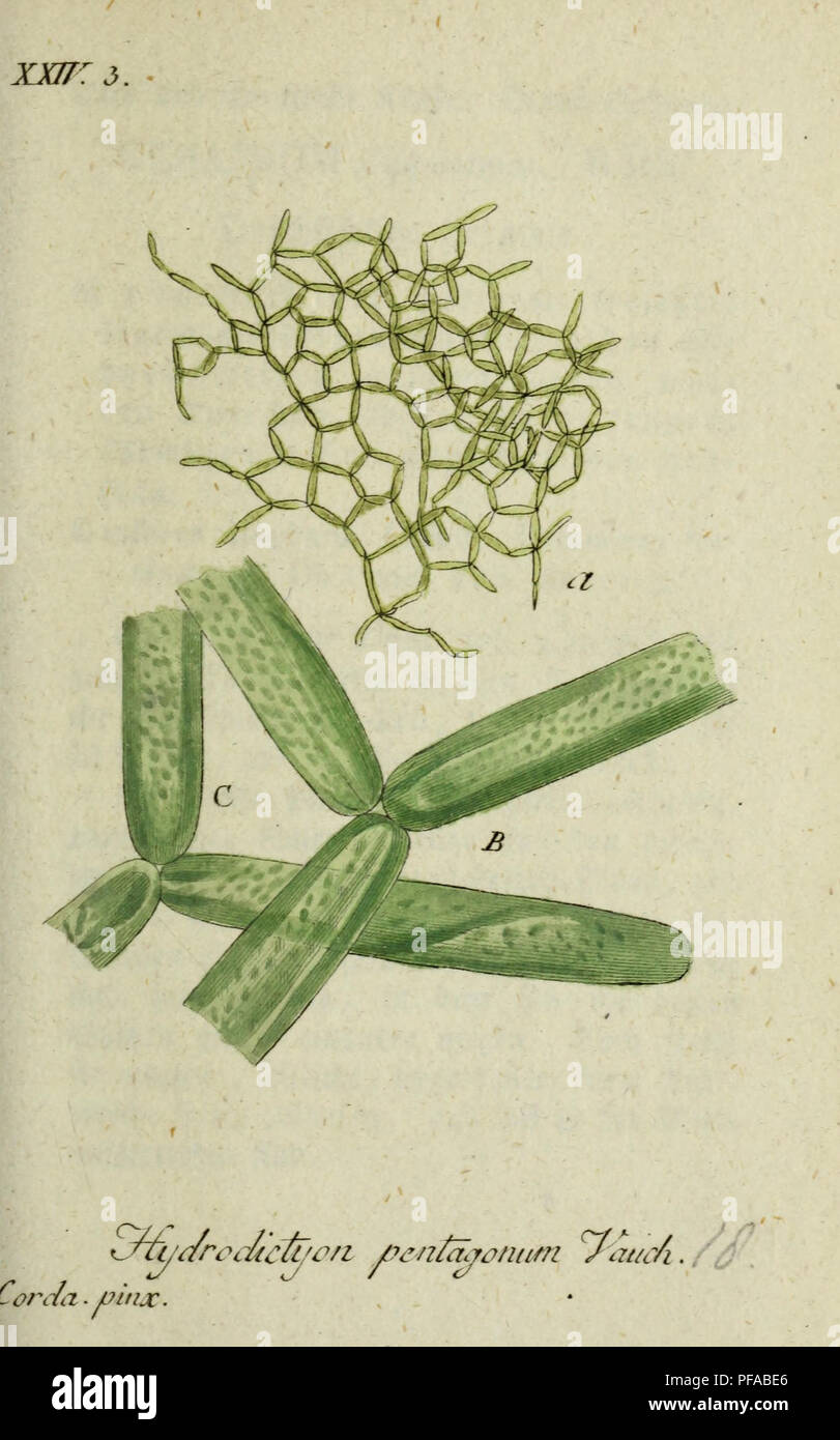 Jacob Sturm’s 'Deutschlands Flora' (Germany’s Flora) is an illustrated ...
