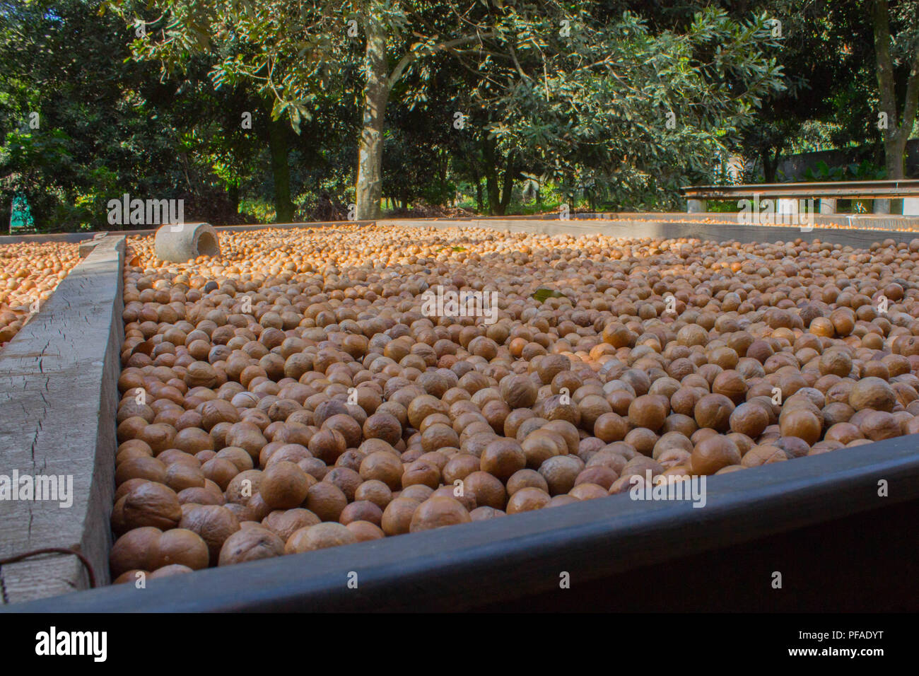 Traditionalfarming hi-res stock photography and images - Alamy