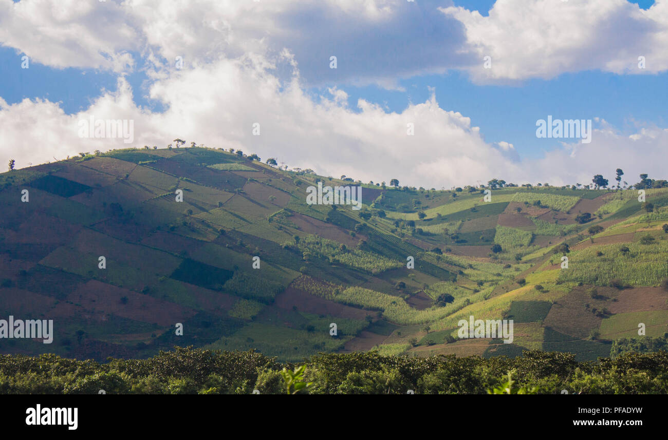 Guatemalan farms hi-res stock photography and images - Alamy