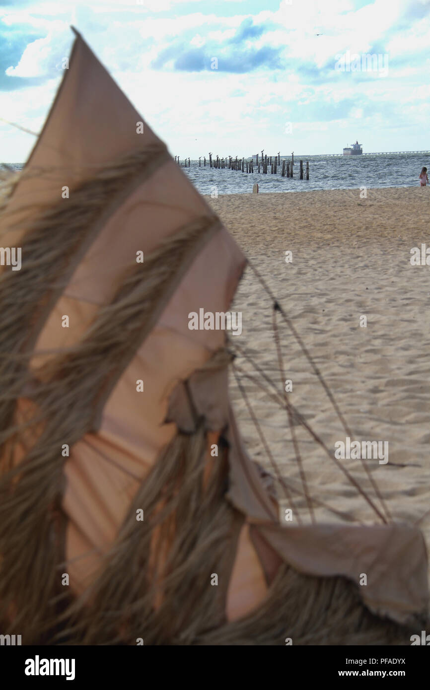 Beach at First Landing State Park, USA Stock Photo - Alamy
