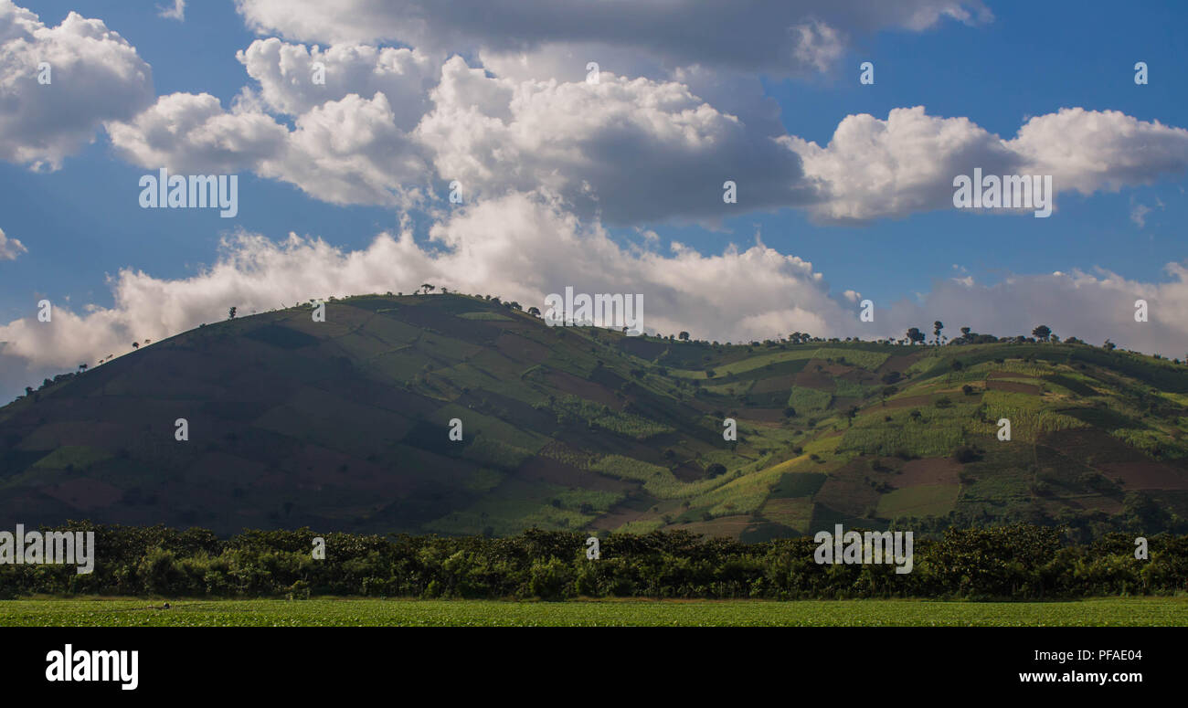 Corn farming guatemala hi-res stock photography and images - Alamy