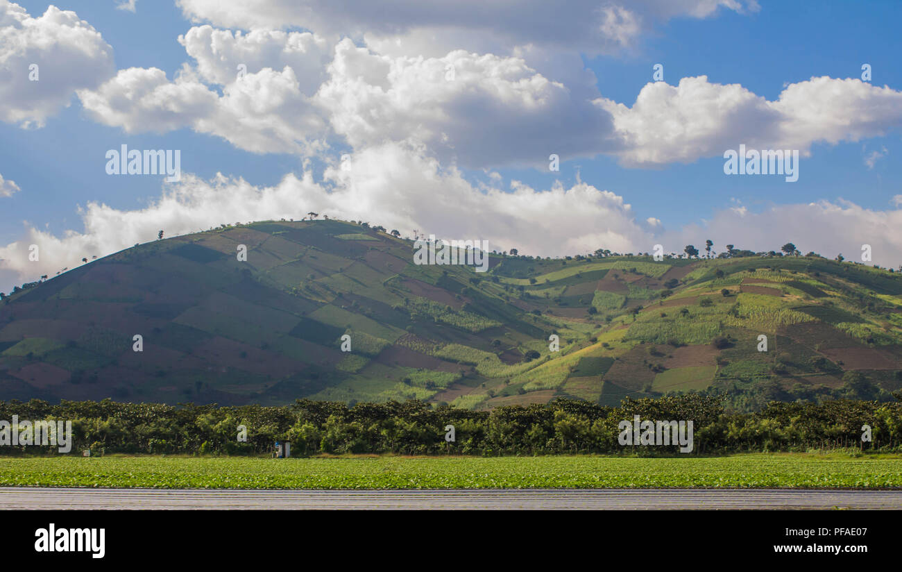 Guatemalan farms hi-res stock photography and images - Alamy