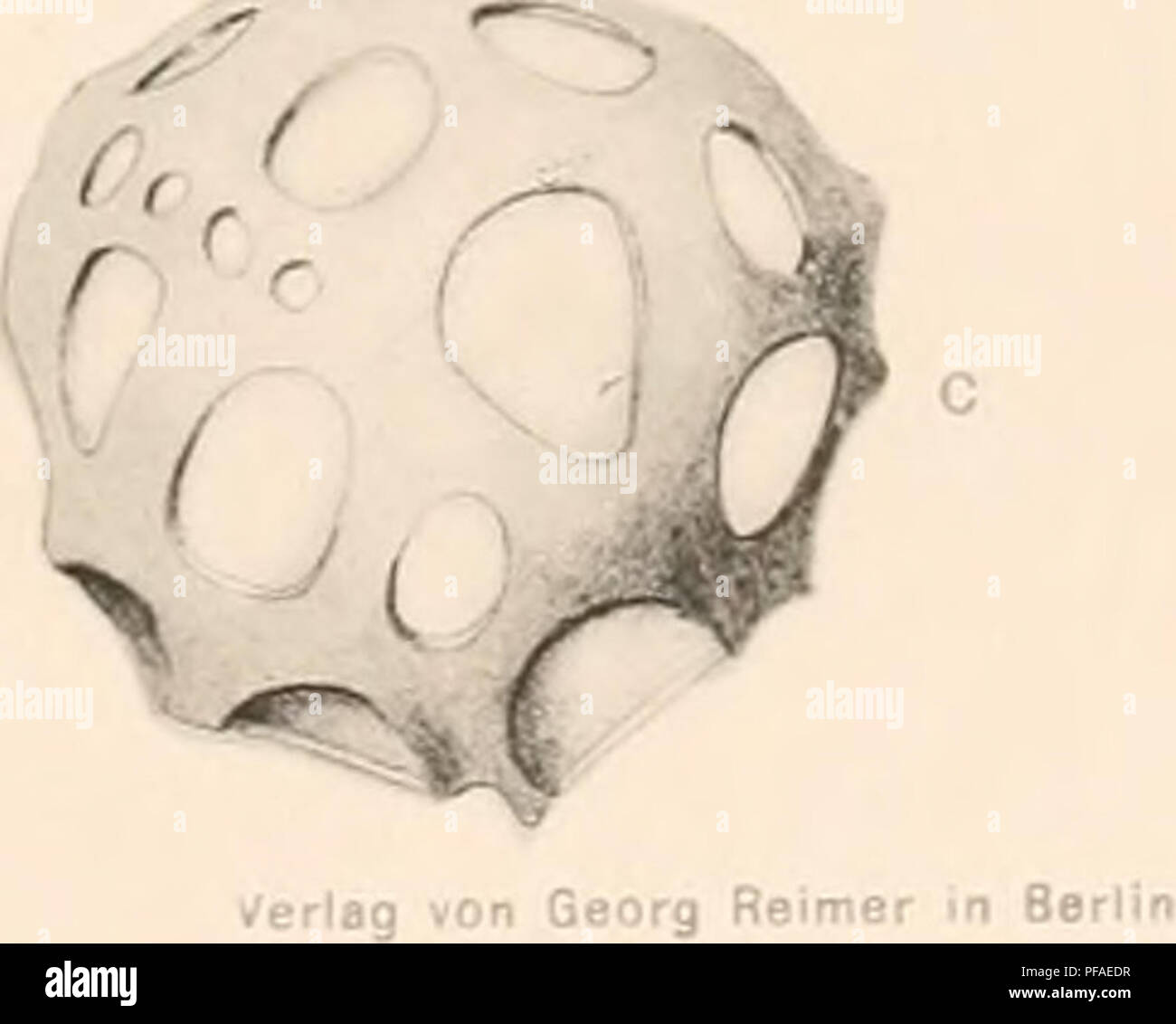 The Deutsche Südpolar-Expedition (1901-1903) was a German scientific ...