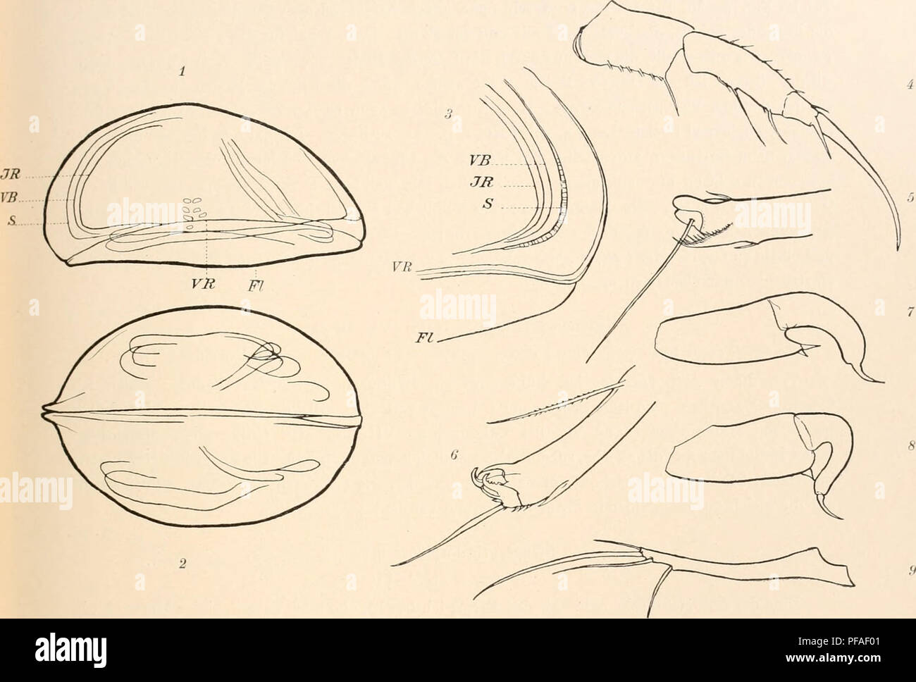 The image depicts the findings from the German South Polar Expedition ...
