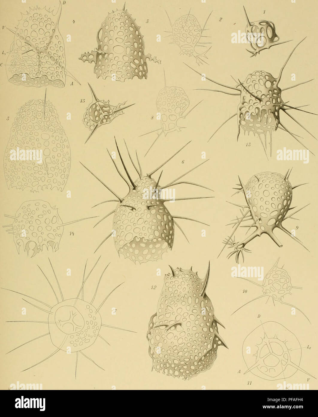 The Deutsche Südpolar-Expedition (1901-1903) was a scientific ...