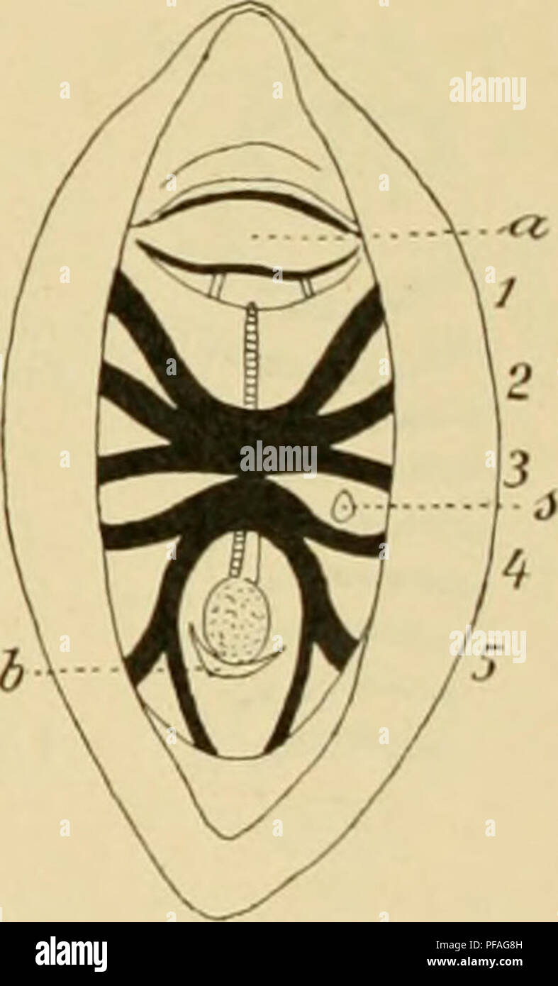 This German Antarctic expedition, led by the Gauss ship, conducted ...