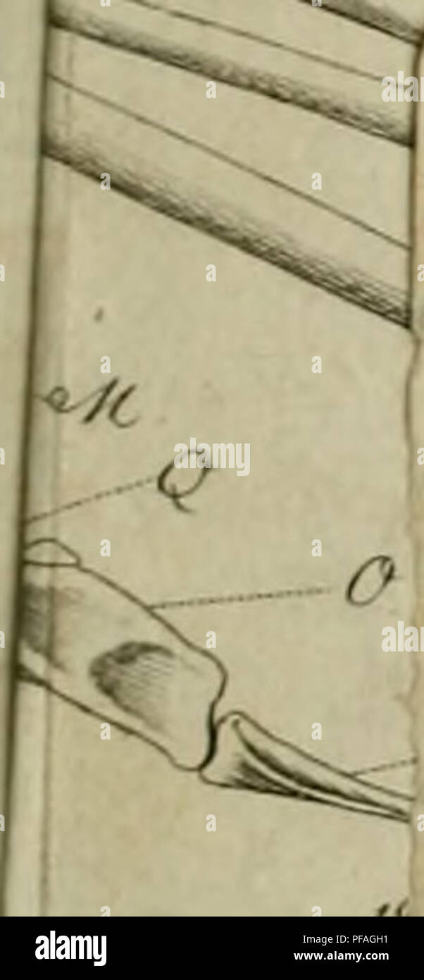 A scientific archive dedicated to research in physiology, publishing ...