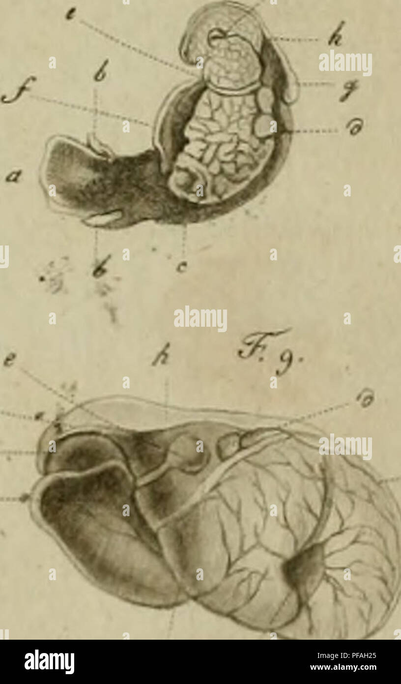 This German journal archives significant studies in the field of ...
