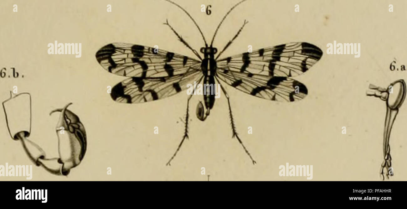 This work provides a systematic overview of natural science, covering ...