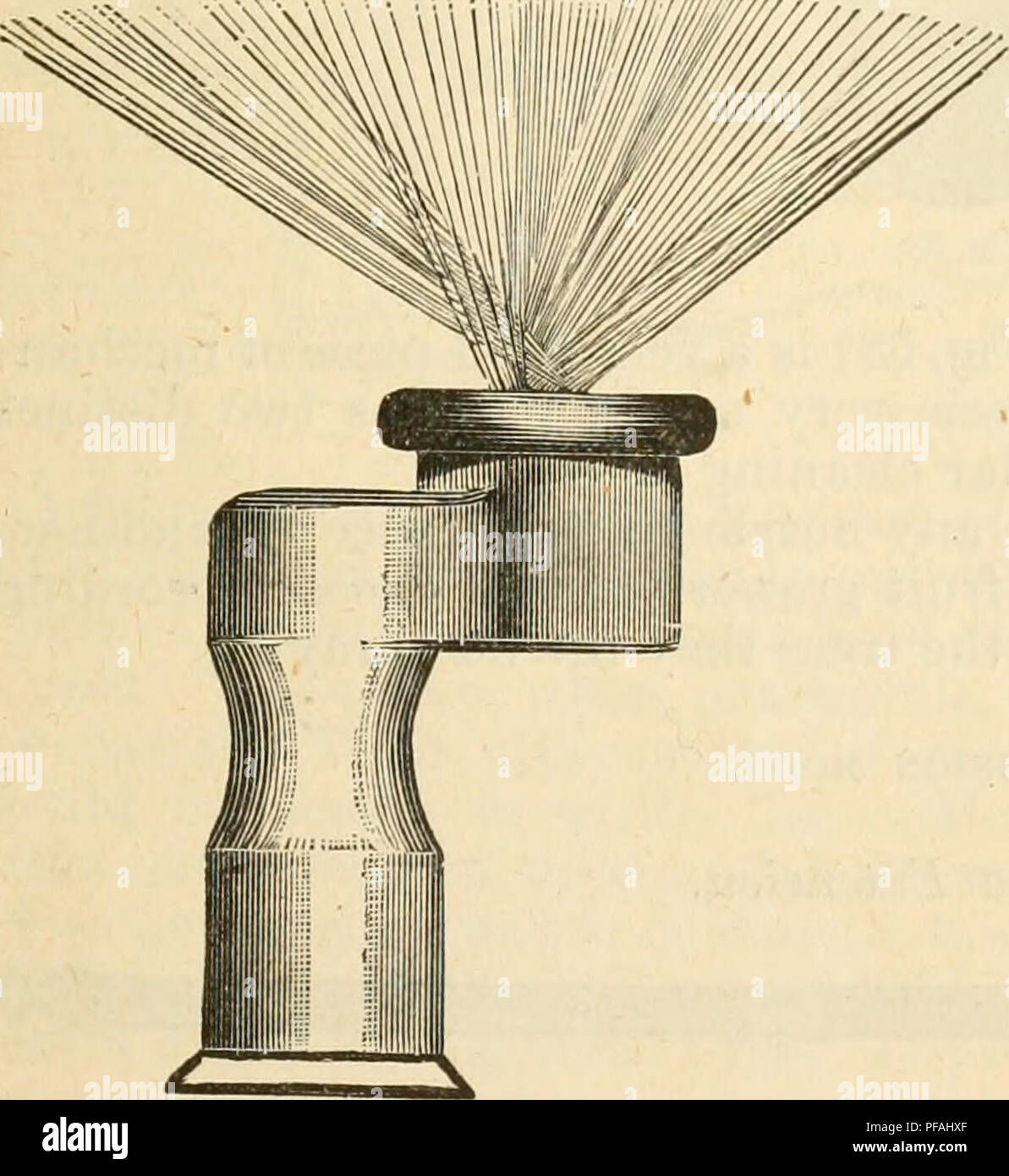 This text discusses various insect pests and their management, focusing ...