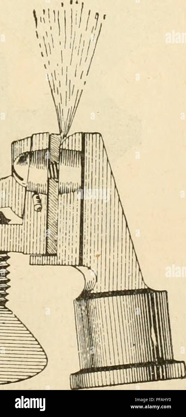 An illustration from a work on destructive insect pests, showing ...