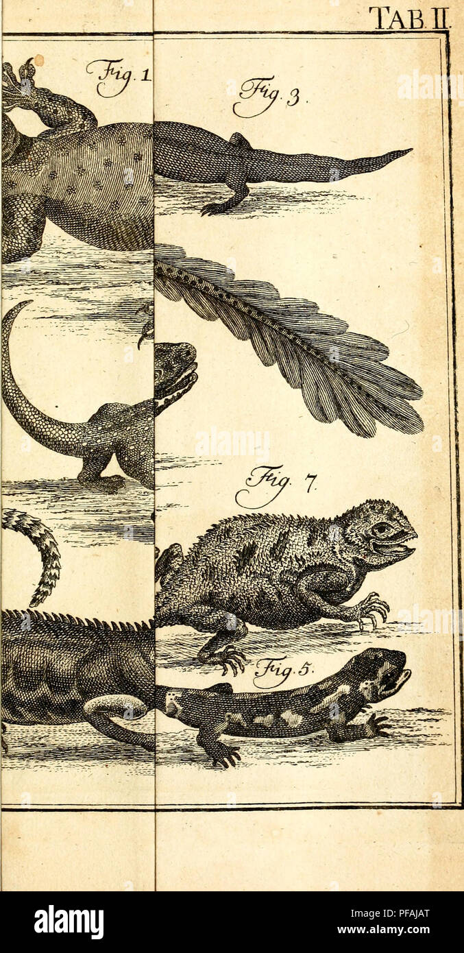 The image is from 'Des Ritters Carl von Linn‚', a work on the ...
