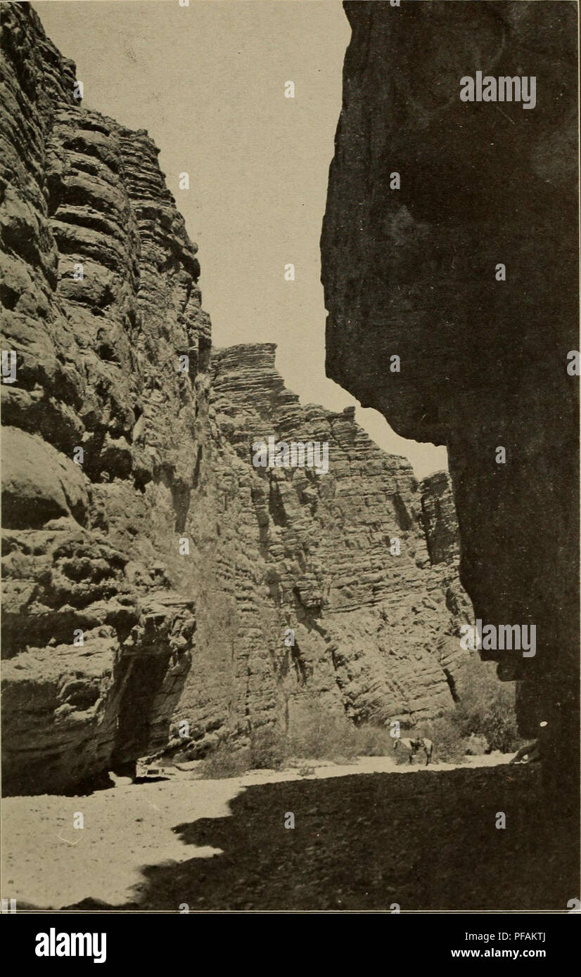 This study examines the natural features and ecological systems of ...
