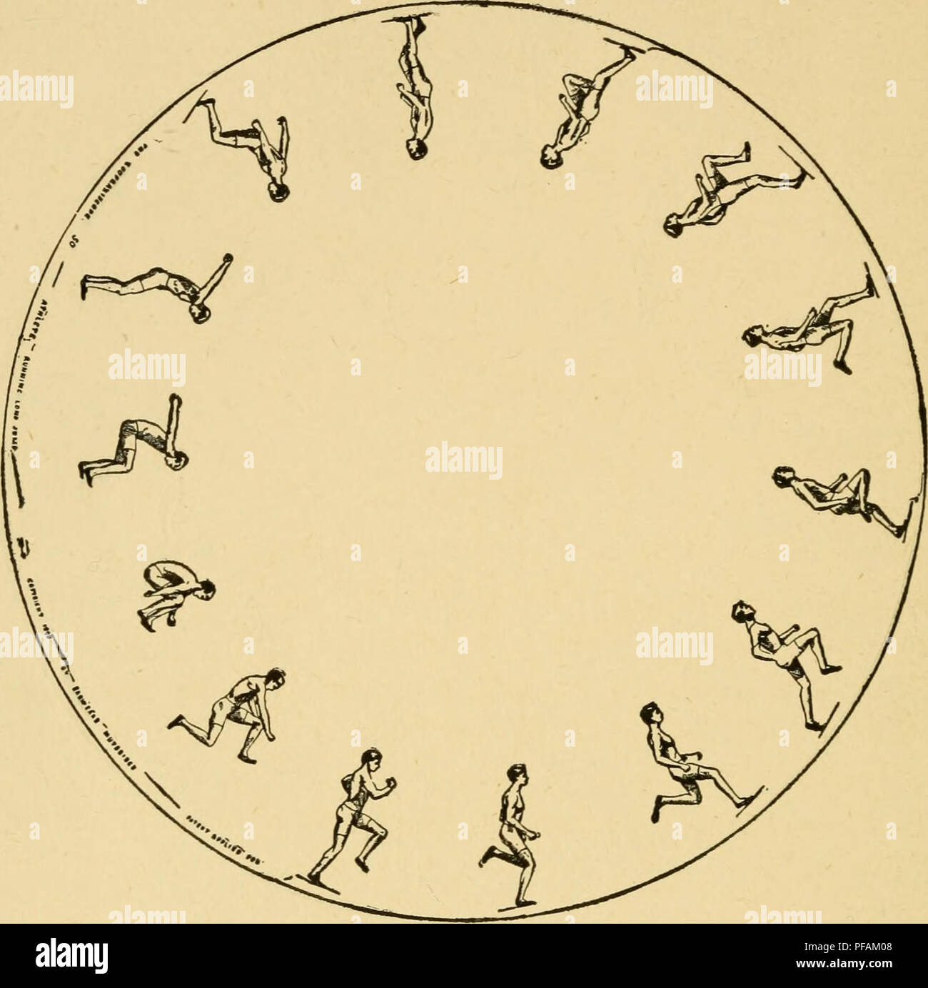 This work on animal locomotion explains the science behind movement in ...
