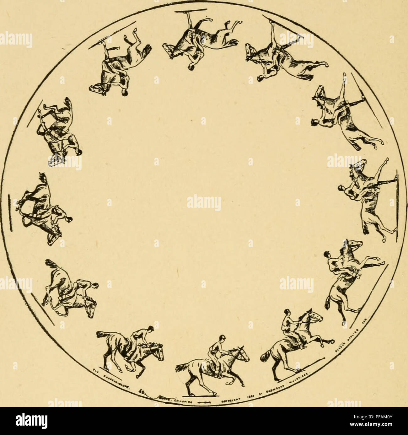 This work on animal locomotion illustrates the scientific study of ...