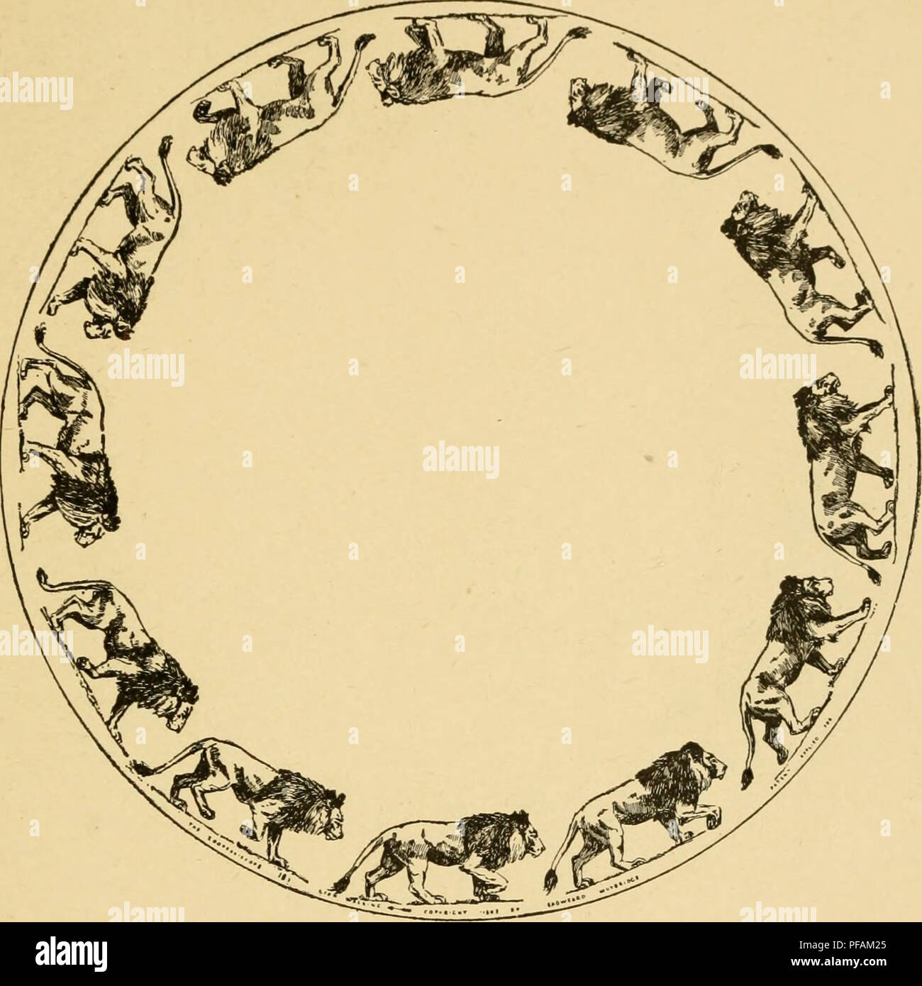 This work discusses the science of animal locomotion through the use of ...
