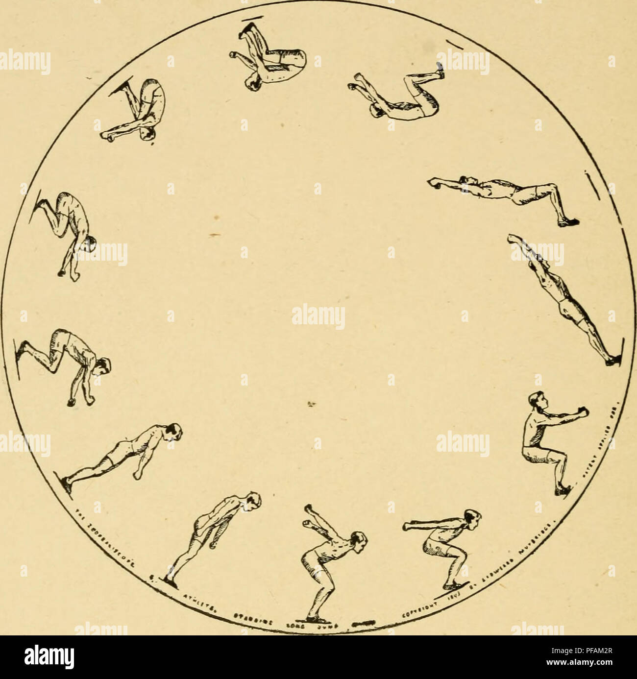 This work focuses on the science of animal locomotion, showcasing how ...