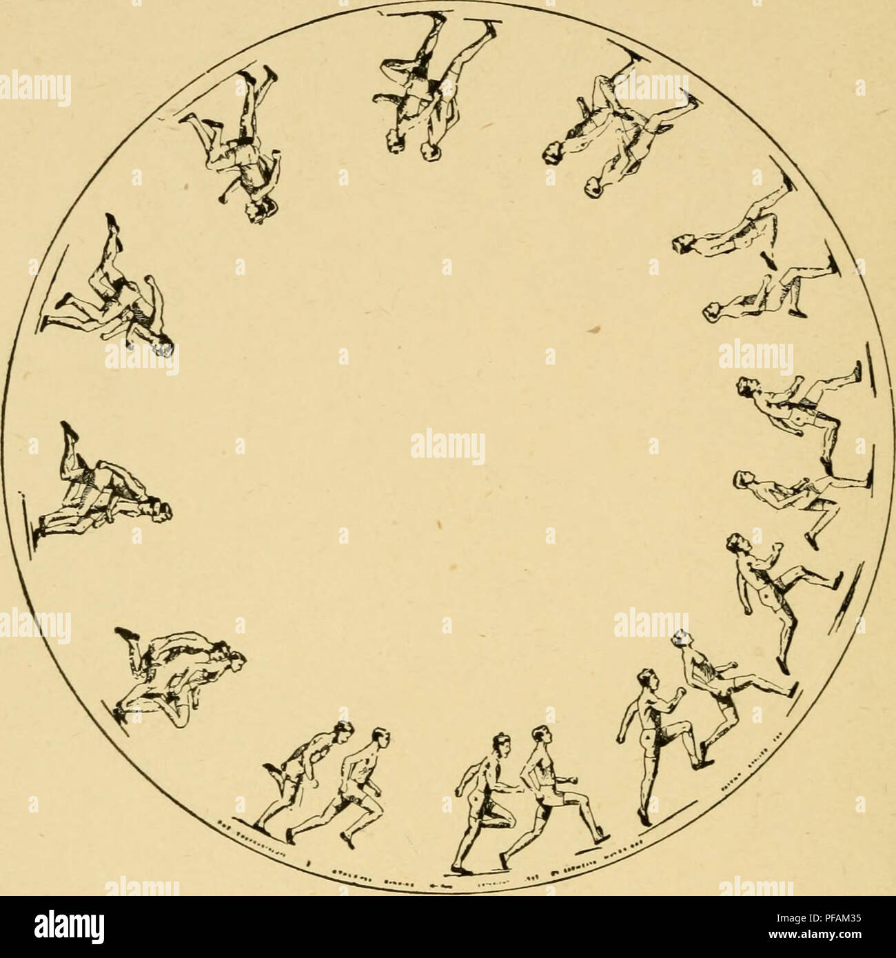 Animal movements phases hi-res stock photography and images - Alamy