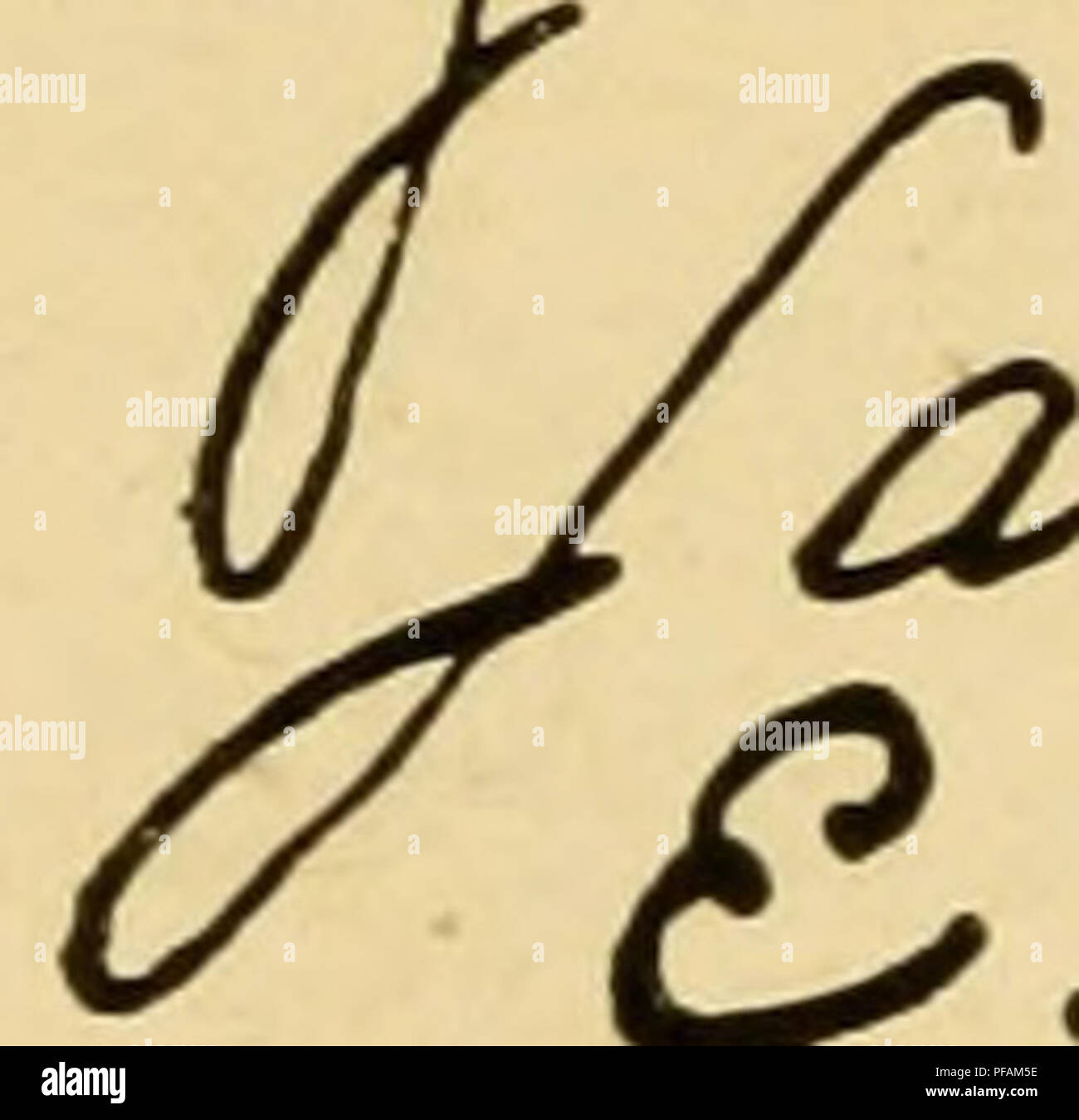 Eadweard Muybridge's work in zoopraxography explores animal locomotion ...