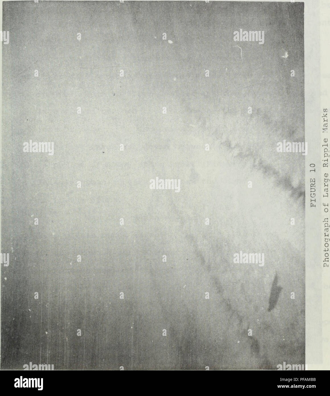This image provides a detailed survey of the head of the Carmel ...