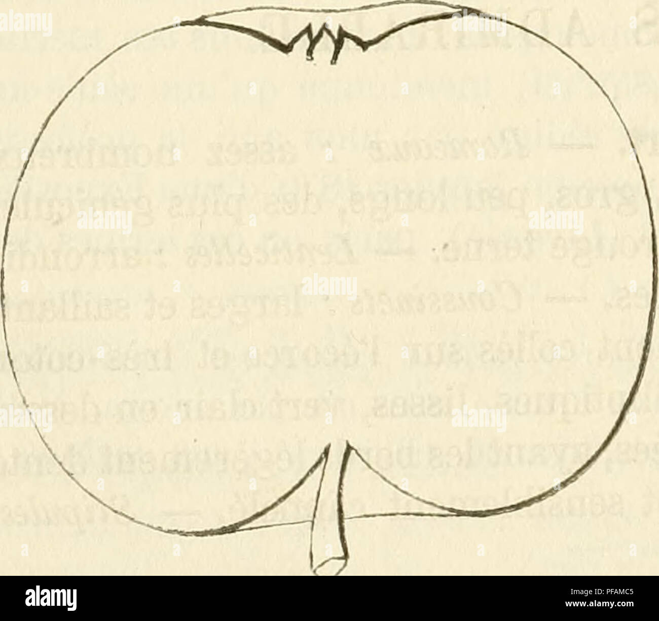 This dictionary of pomology contains detailed descriptions and ...