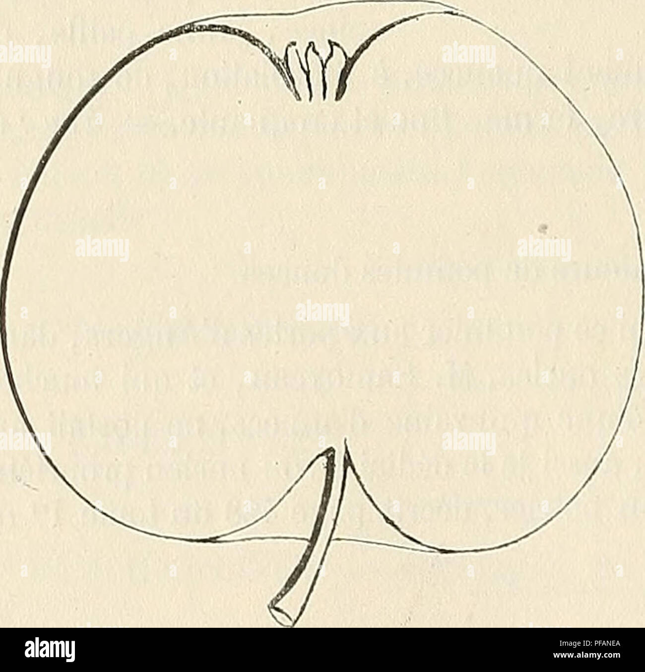 This dictionary of pomology offers detailed descriptions and ...