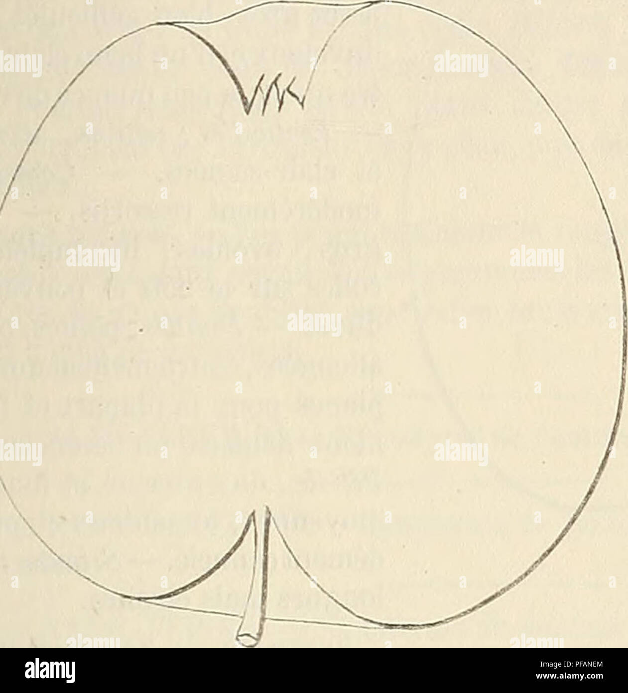 This dictionary of pomology offers detailed descriptions and ...