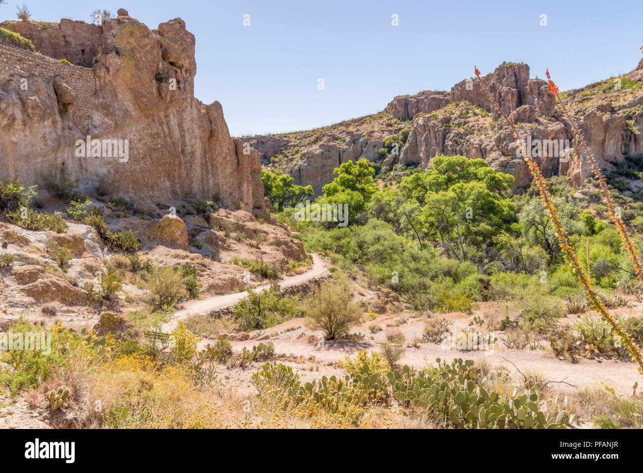 View of a hiking trail at Boyce Thompson Arboretum, Arizona Stock Photo ...