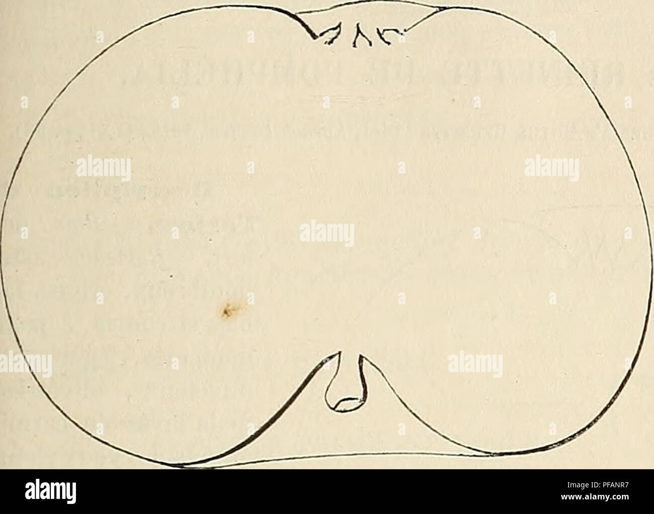 This dictionary details the history and descriptions of both ancient ...