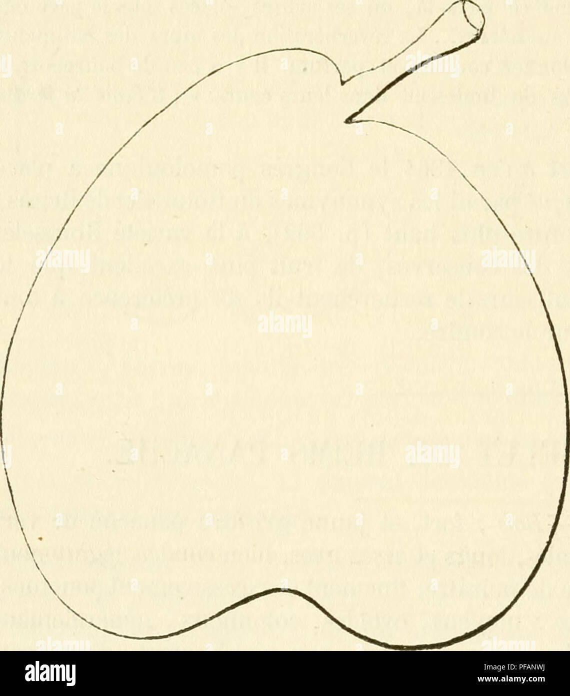 This dictionary of pomology provides historical and descriptive ...