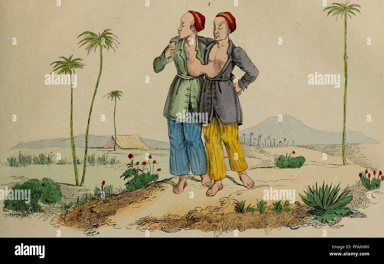 This dictionary offers a detailed account of various natural phenomena ...