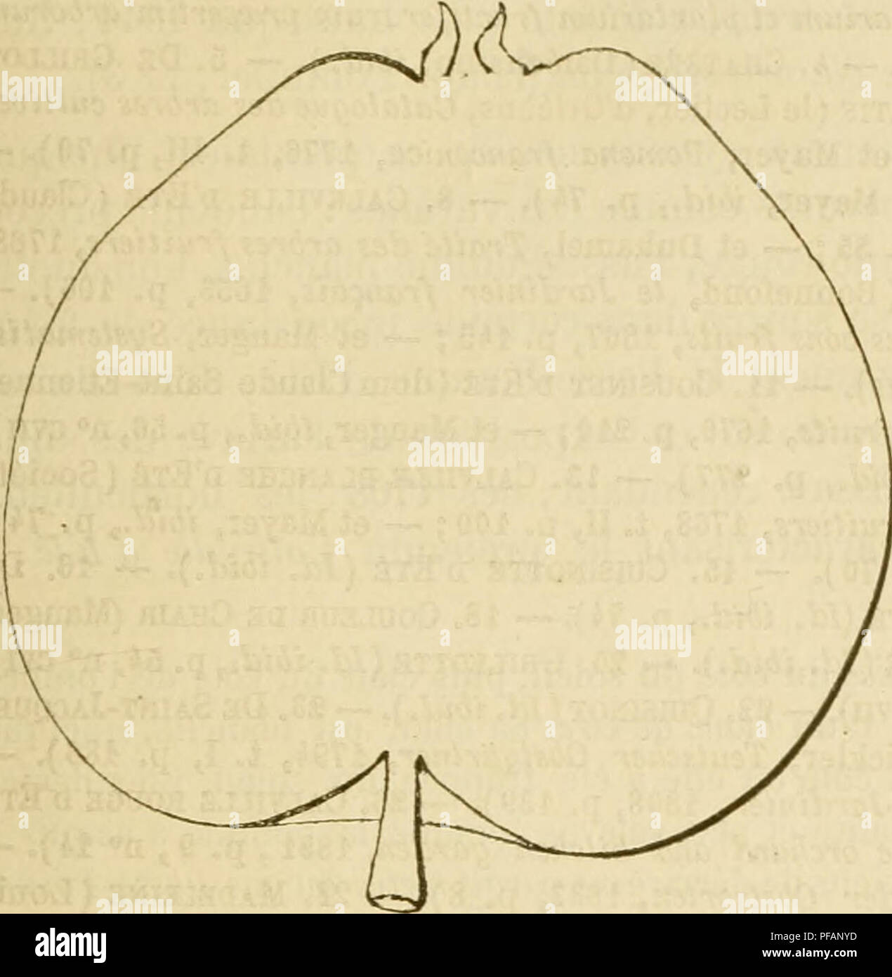 Pomme fond blanc hi-res stock photography and images - Alamy