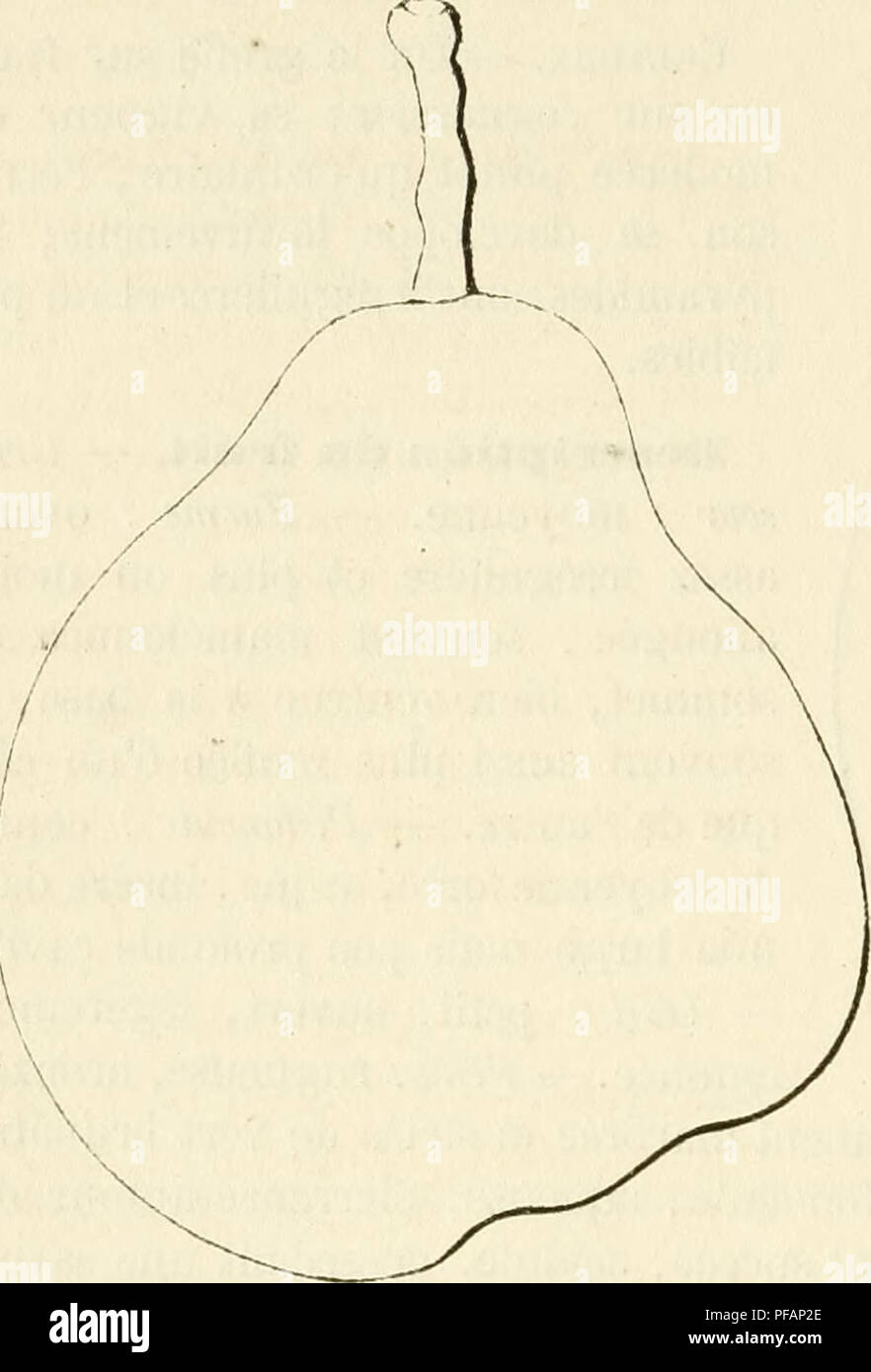 This French dictionary of pomology provides a detailed description and ...