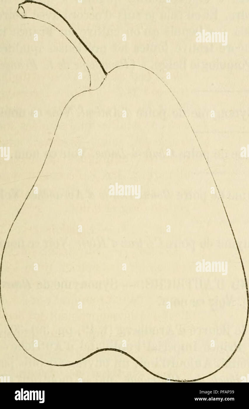 A comprehensive dictionary on pomology, focusing on the history ...